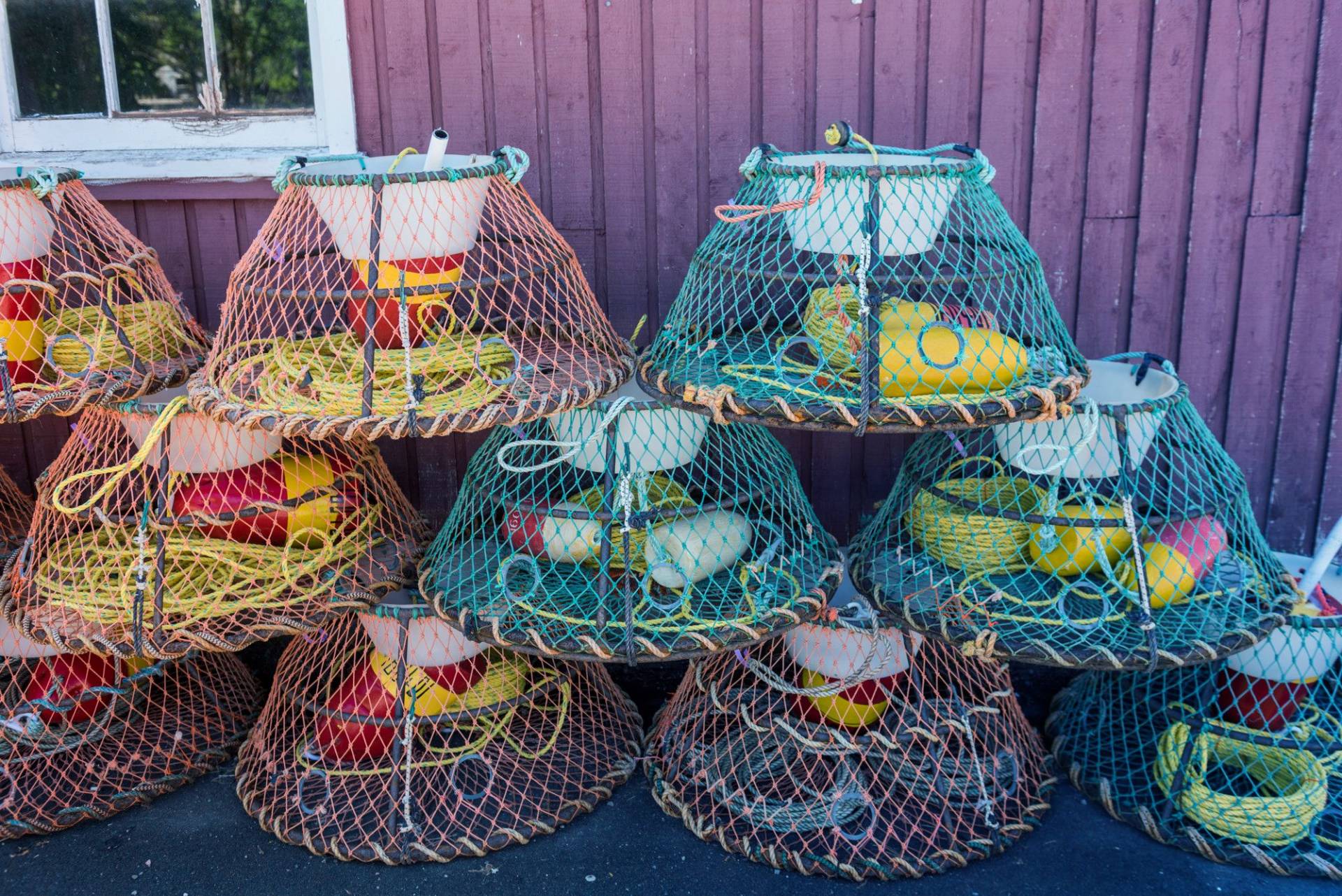 The Best Bait For Blue Crab Traps: Top Picks & Guidance In 2025