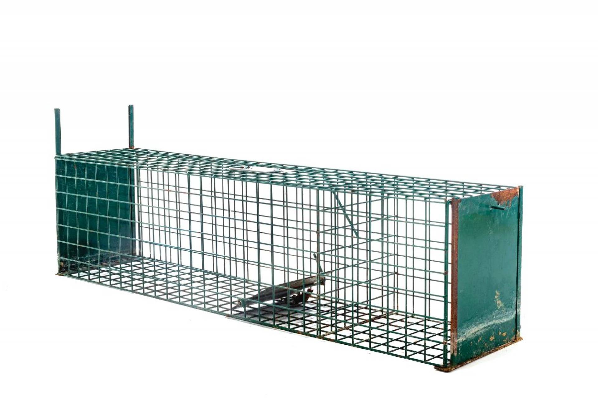 The Best Live Traps Of 2025: Reviews And Buyers Guide