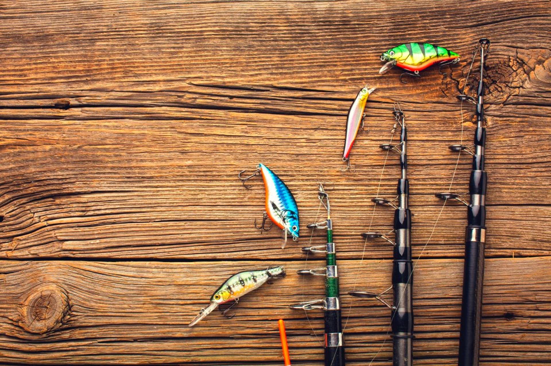 The Easy To Use Fishing Rods: Buying Guide 2026