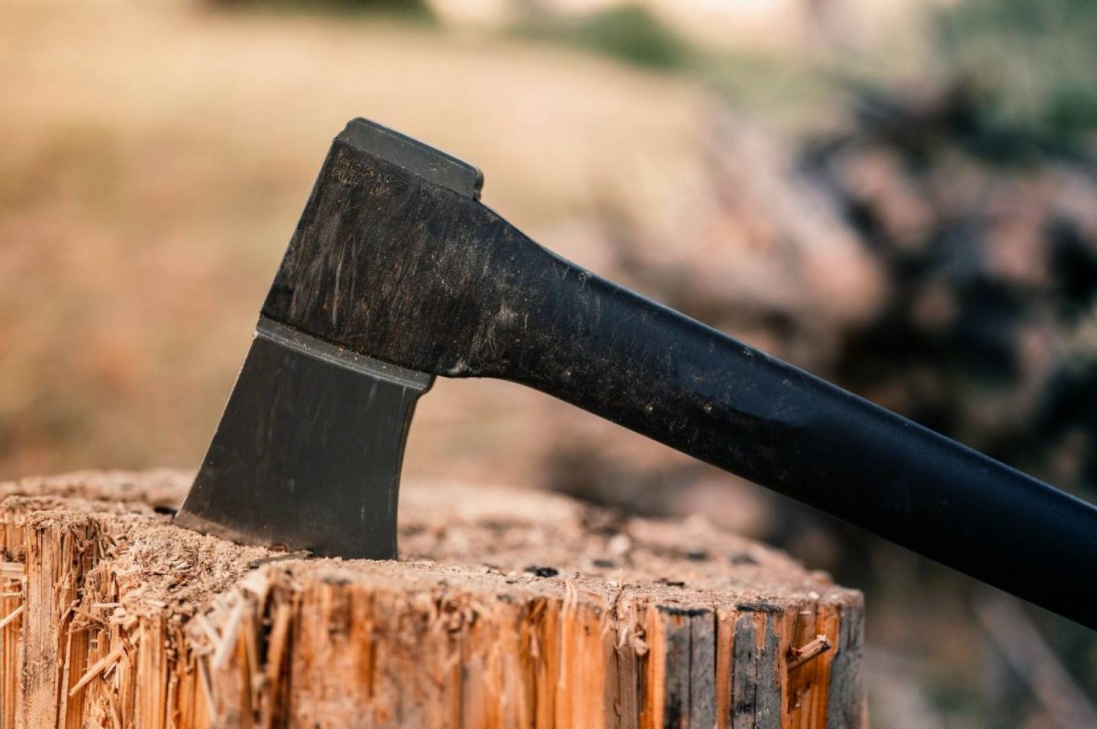 The Best Axe Ever Of 2025: Reviews And Buyers Guide