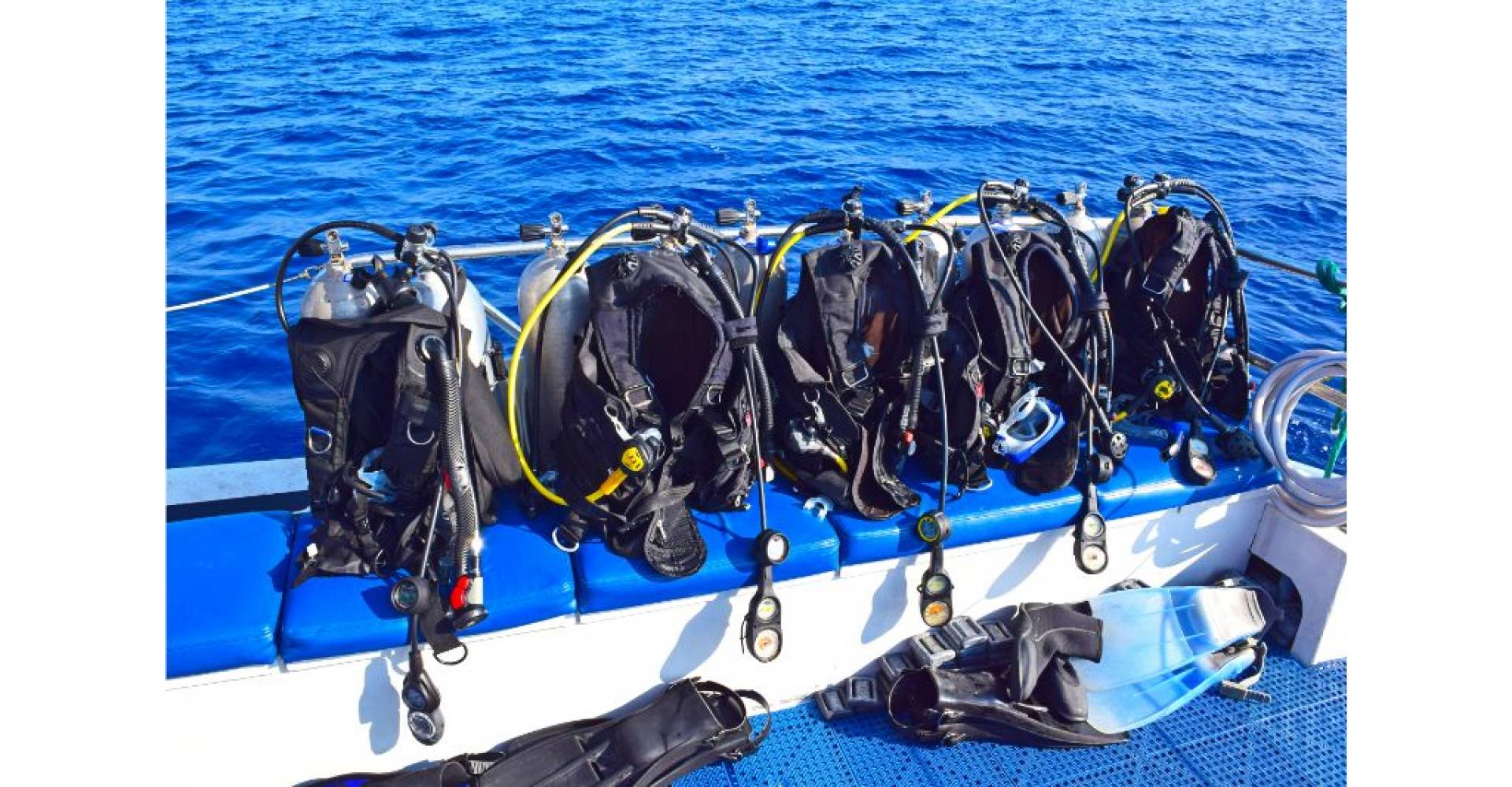 Top Best Diving Bcd Of 2025: Best Reviews & Guide