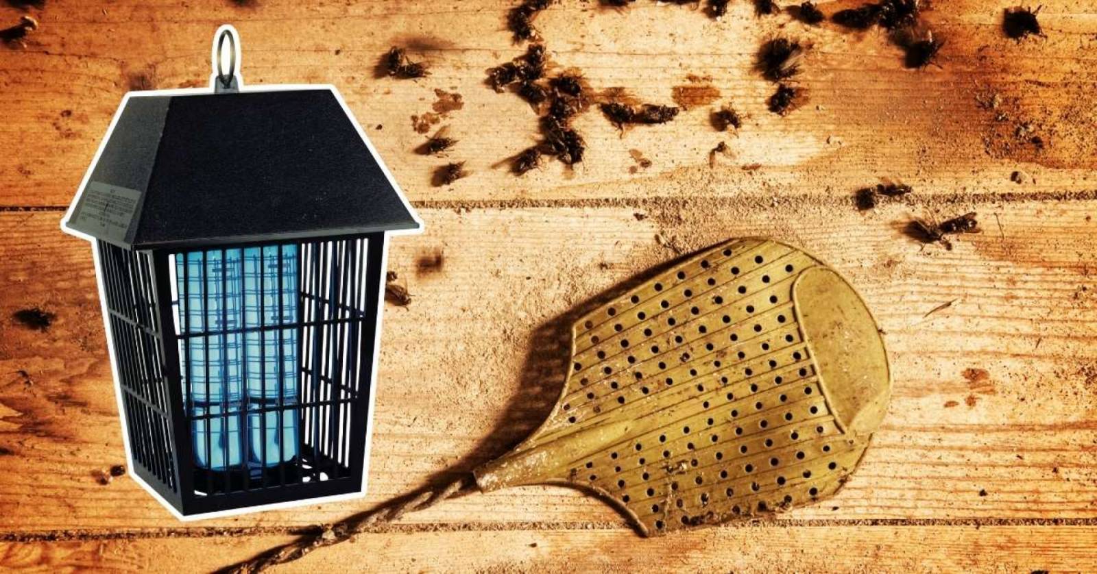 The Most Effective Fly Killer For 2025