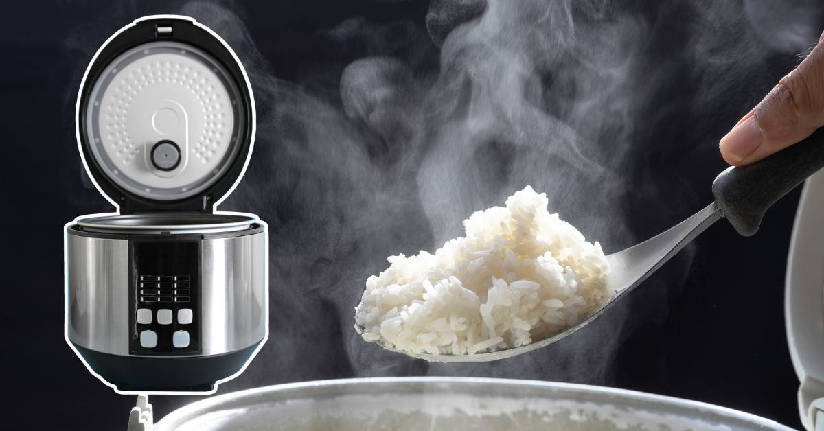 The Best 10 Cup Rice Cooker In The Word: Our Top Picks In 2025