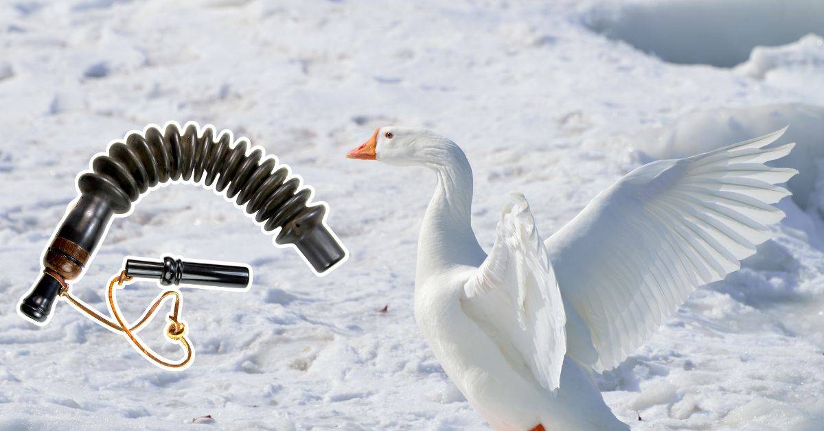 The Best Snow Goose Calls Of 2025: Top Picks & Guidance