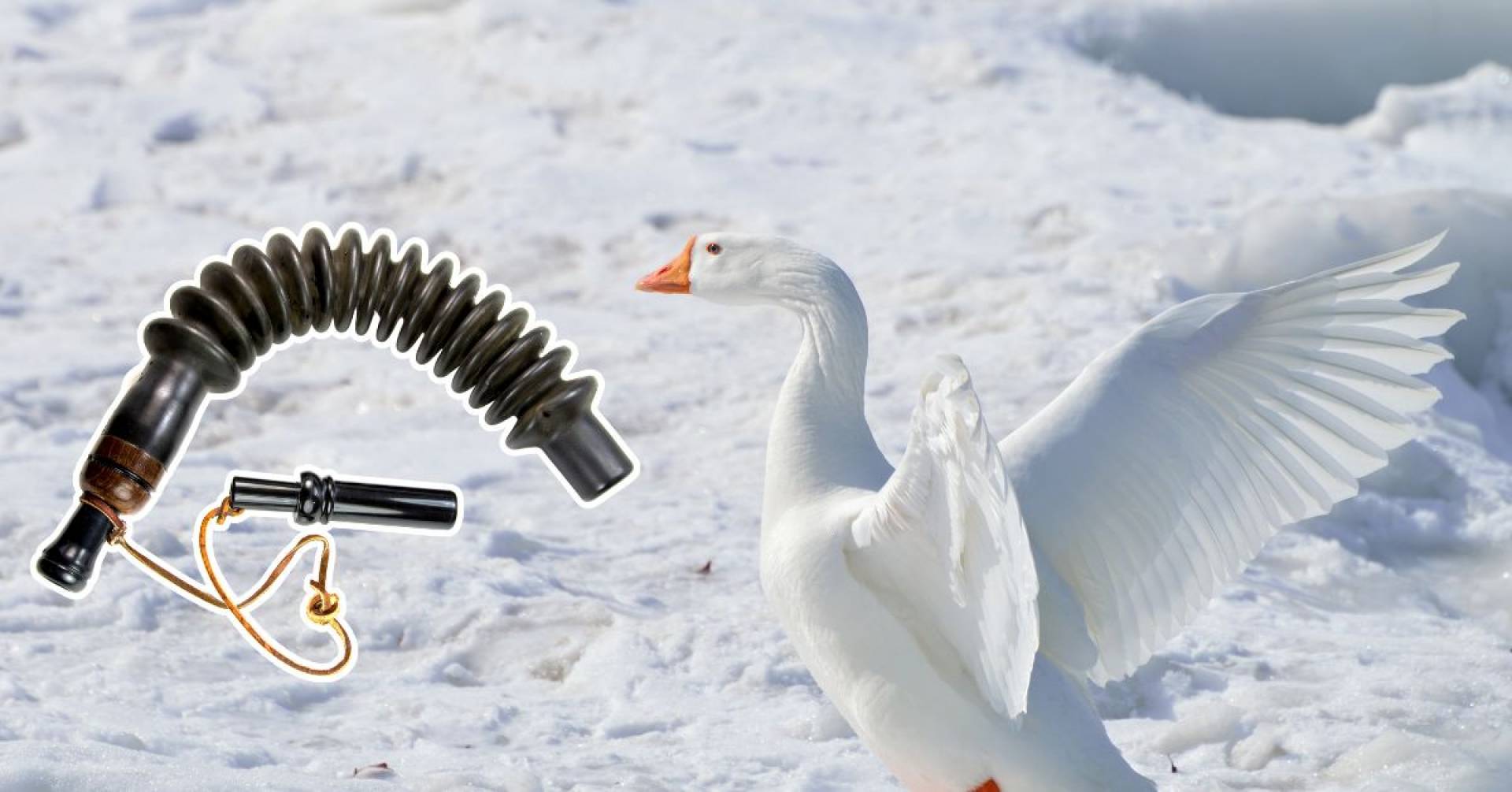 The Best Snow Goose Calls Of 2025: Top Picks & Guidance
