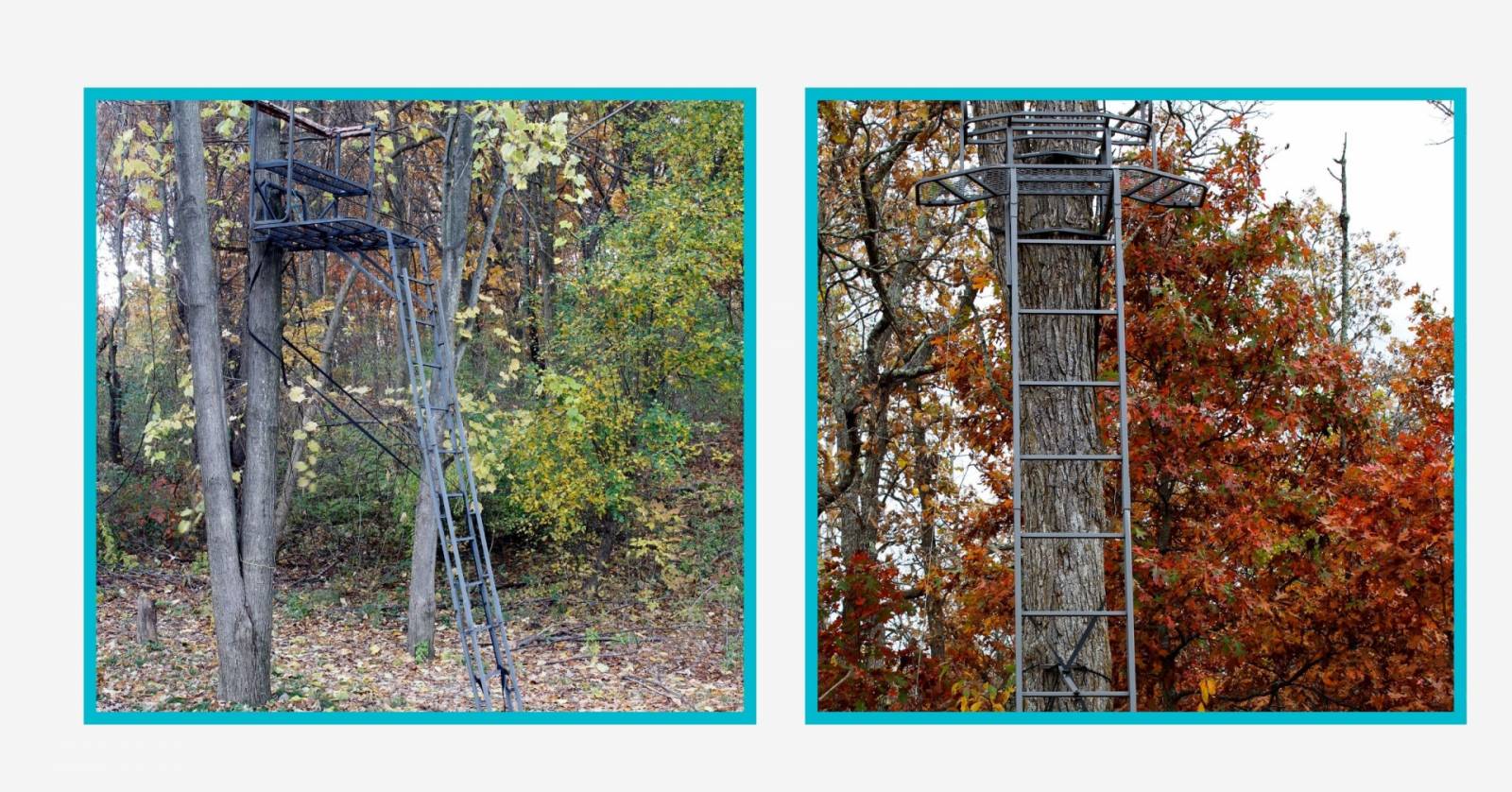 The 10 Best Ladder Stand Of 2026, Tested By CampFireHQ
