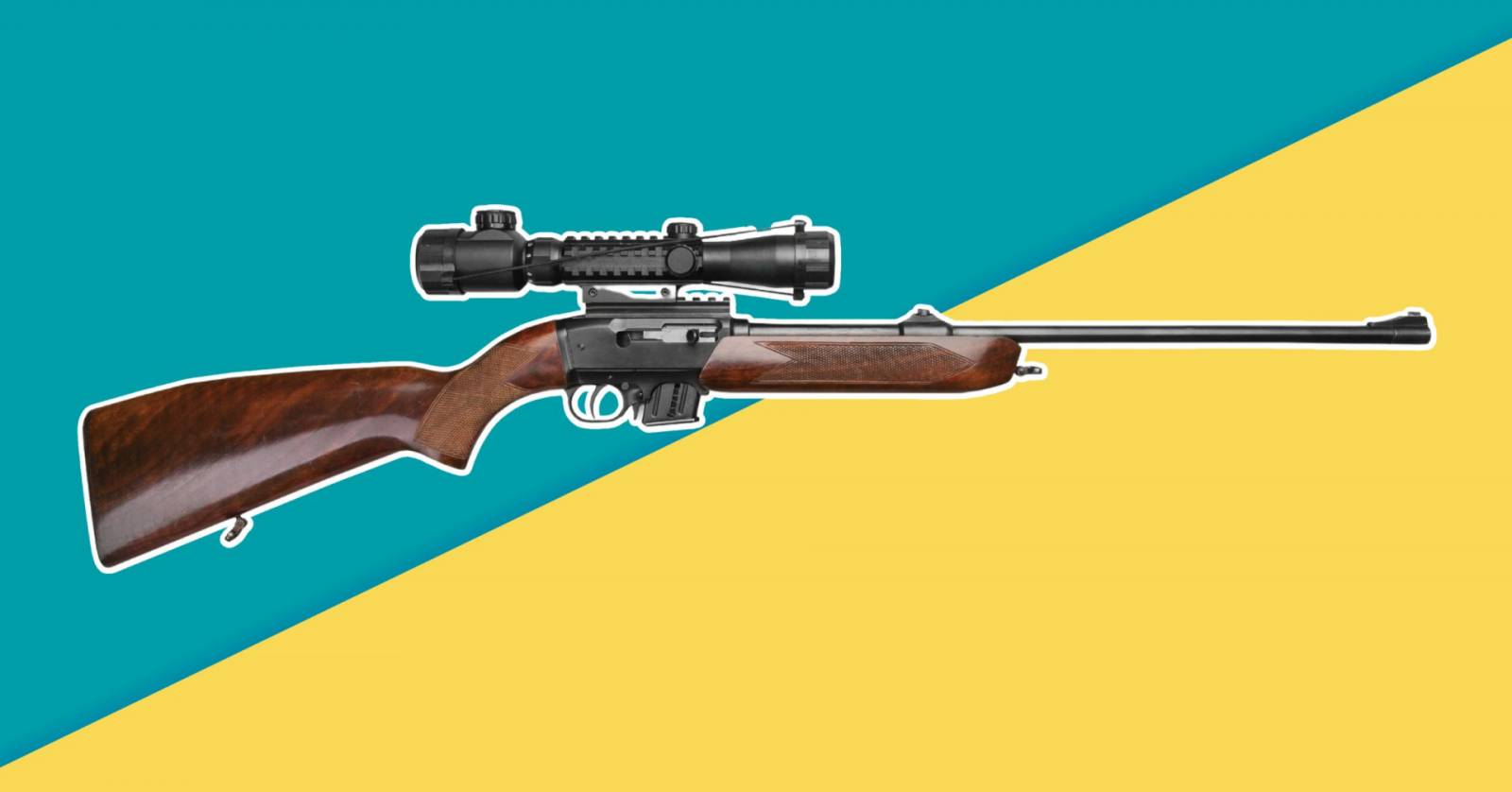 The Best Repeating Air Rifle: Top Picks & Guidance In 2025