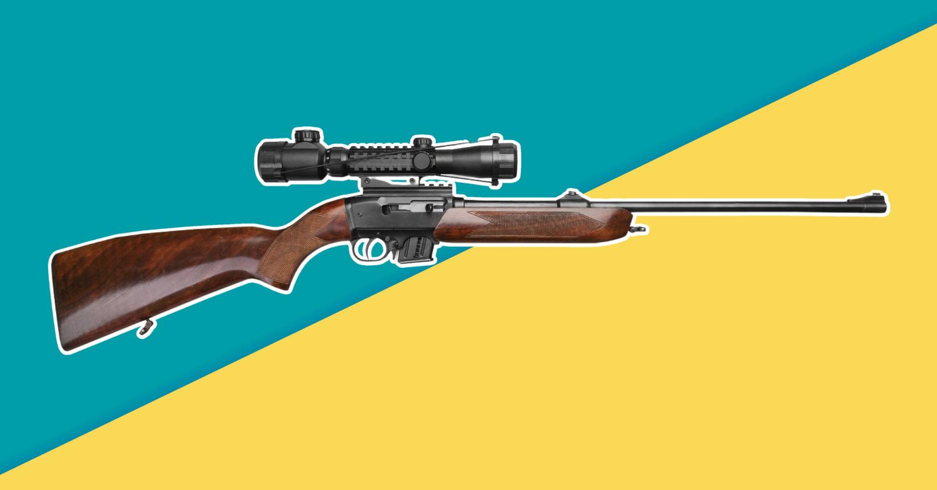 The Best Repeating Air Rifle: Top Picks & Guidance In 2026