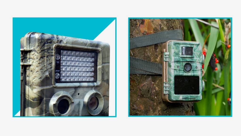 Best Solar Powered Cellular Trail Camera In 2026: Our Top Picks