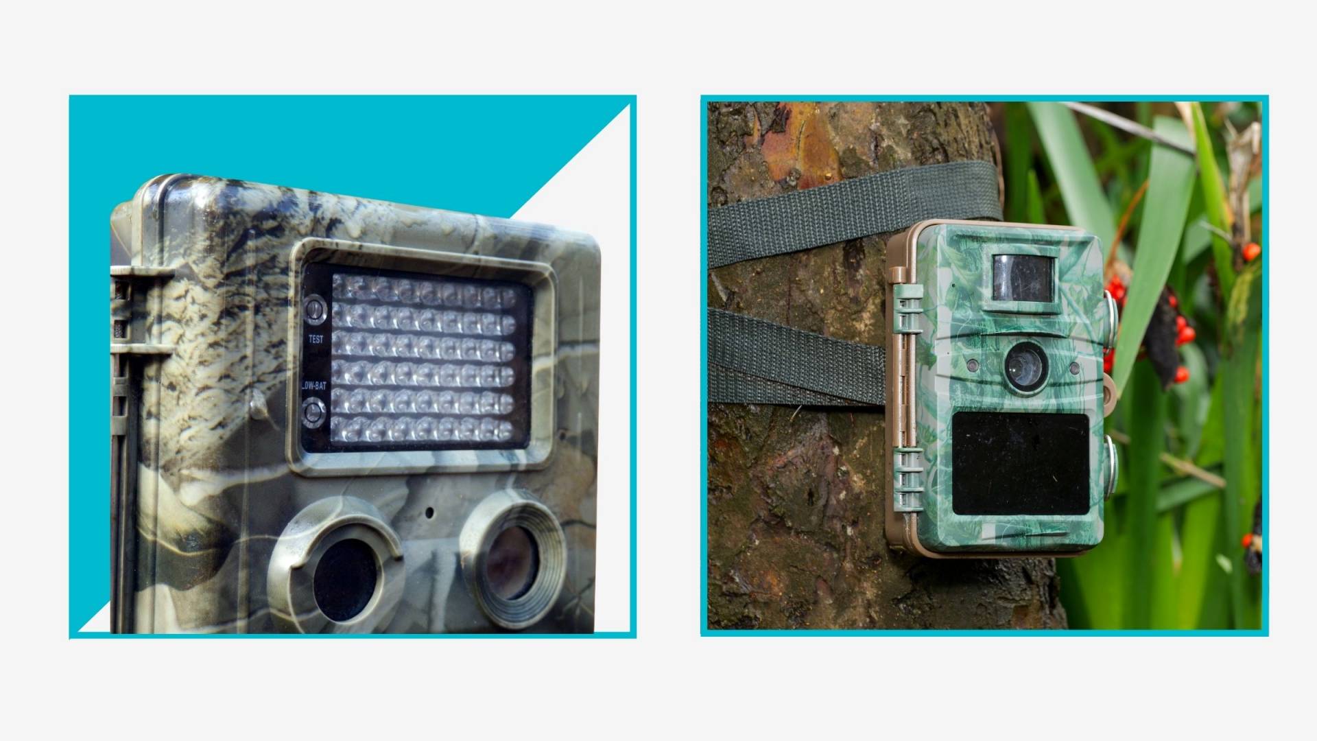 Best Solar Powered Cellular Trail Camera In 2025: Our Top Picks