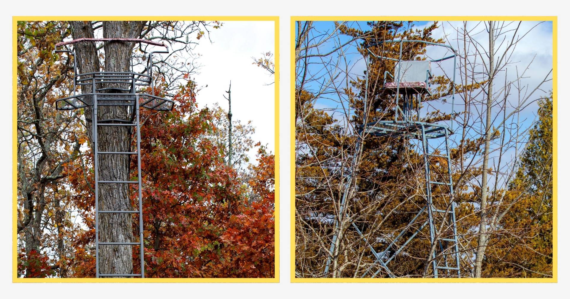 The Best 2 Man Tree Stand For 2025