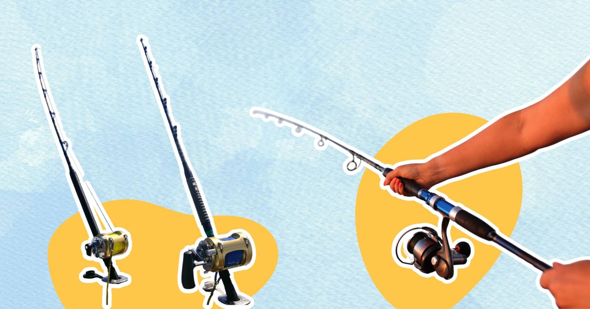 The 10 Best 2 Piece Saltwater Spinning Rods Of 2025, Researched By Us