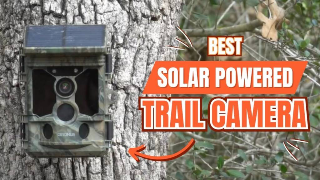 Best Solar Powered Trail Camera: Buying Guide 2025