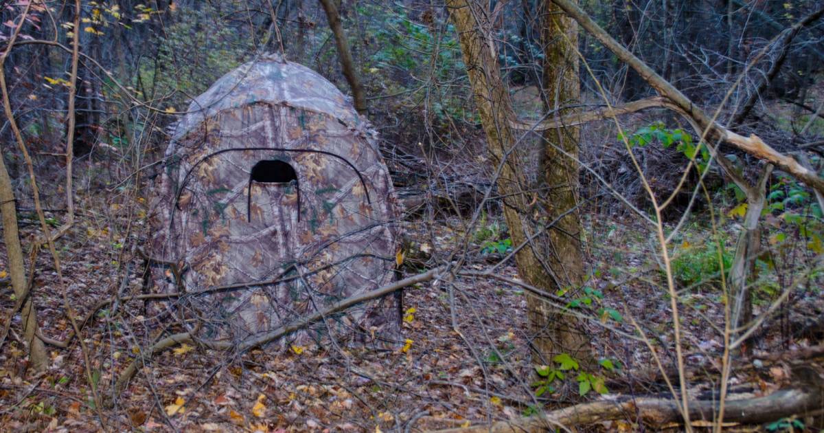 Top Best 2 Person Ground Blind Of 2026: Reviews & Buying Guide