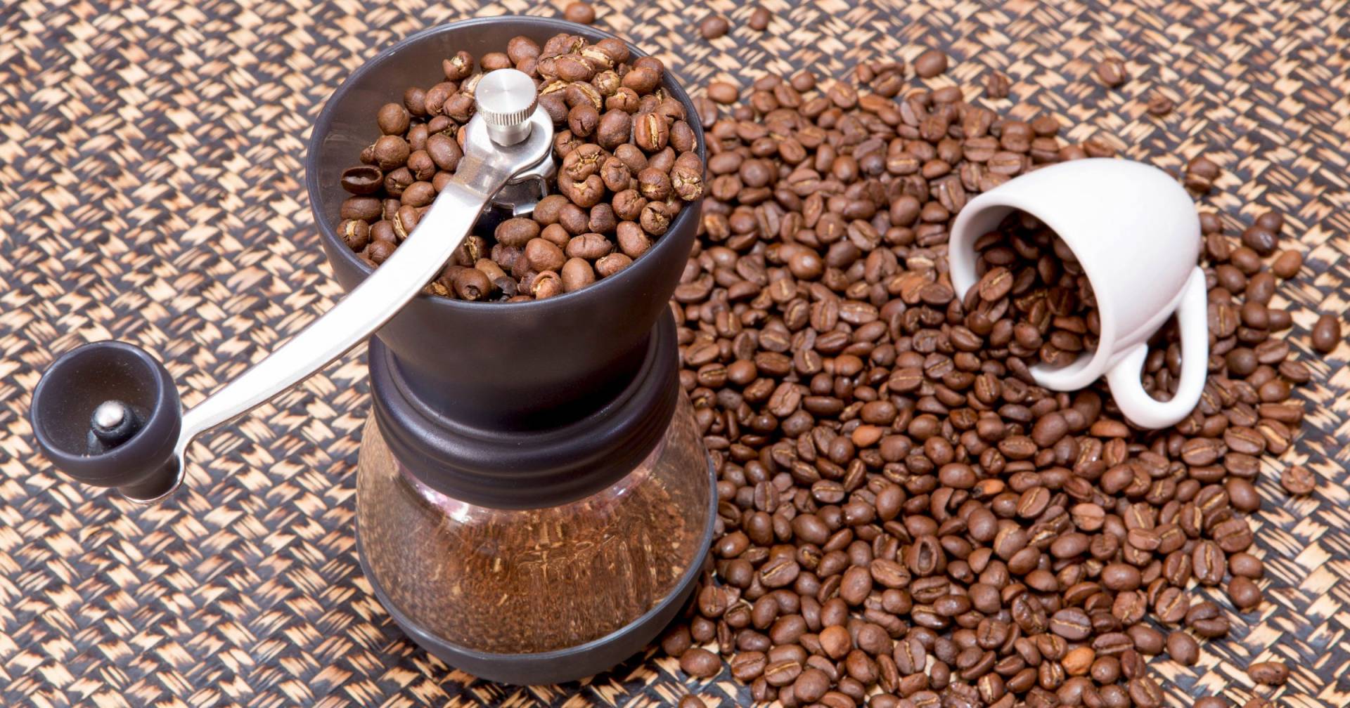 The Best Coffee Grinder French Press For 2026
