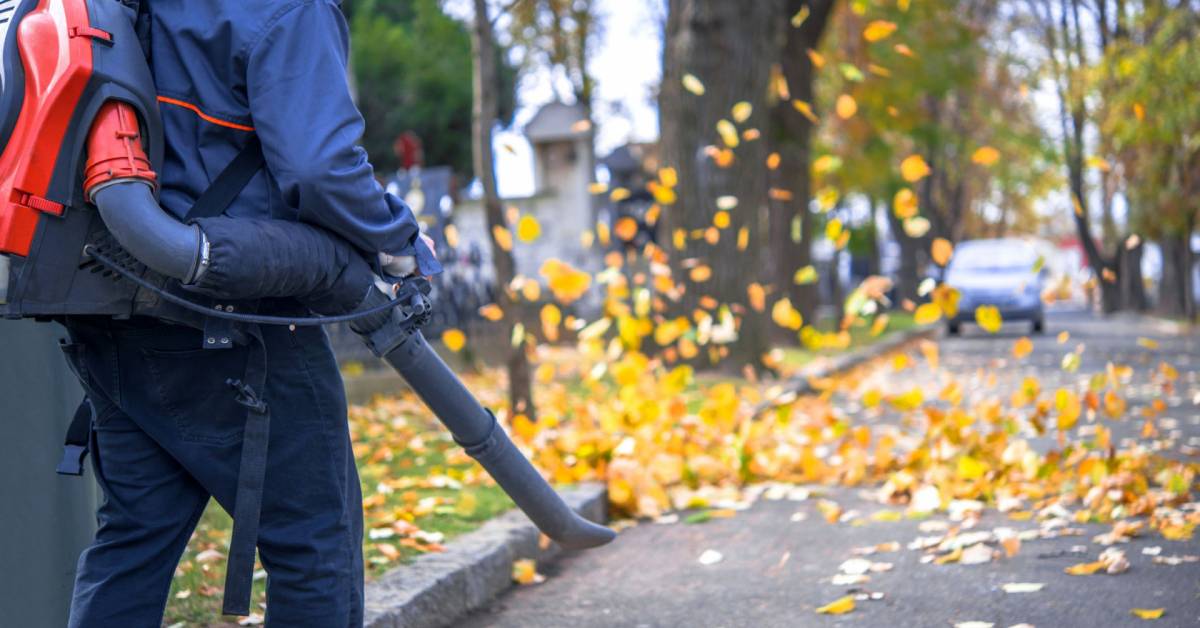 The Best Commercial Backpack Blower: Buying Guide Of 2025