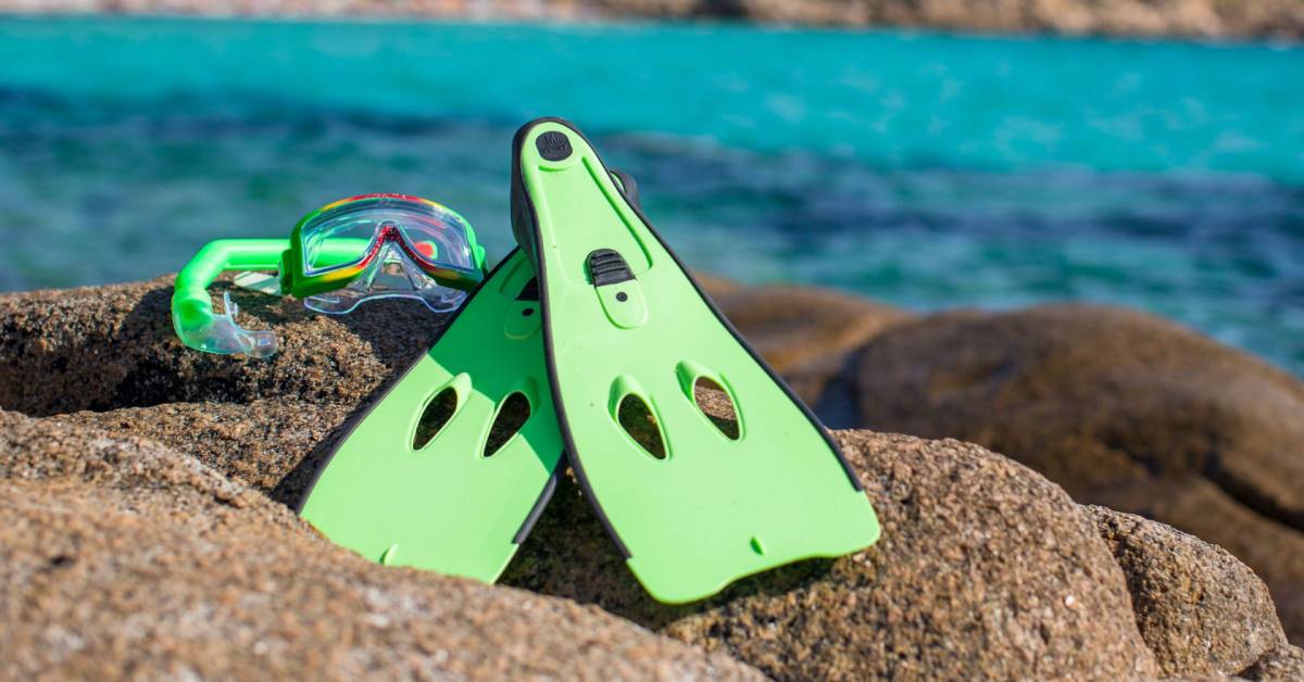 The Best Fins For Snorkeling In 2026: Top-Rated & Hot Picks