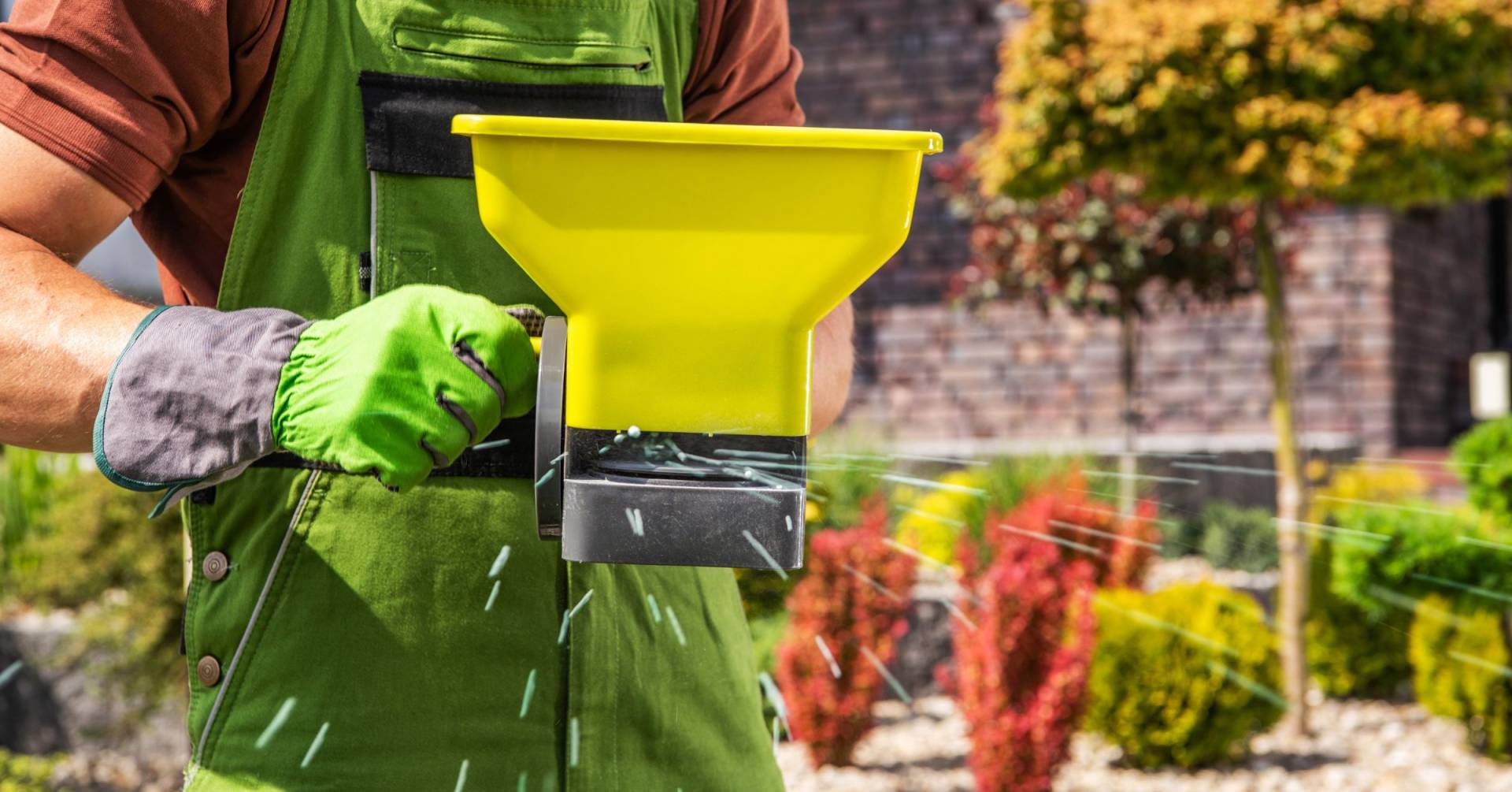 The Best Handheld Seed Spreader: Best Picks Of 2025