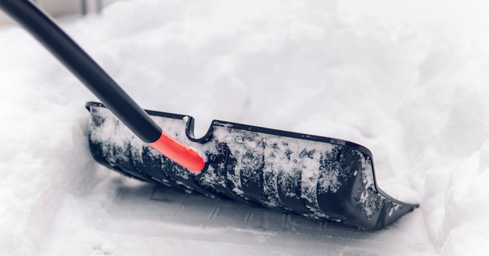 The Best Push Snow Shovel Of 2026: Top-rated And Buying Guide