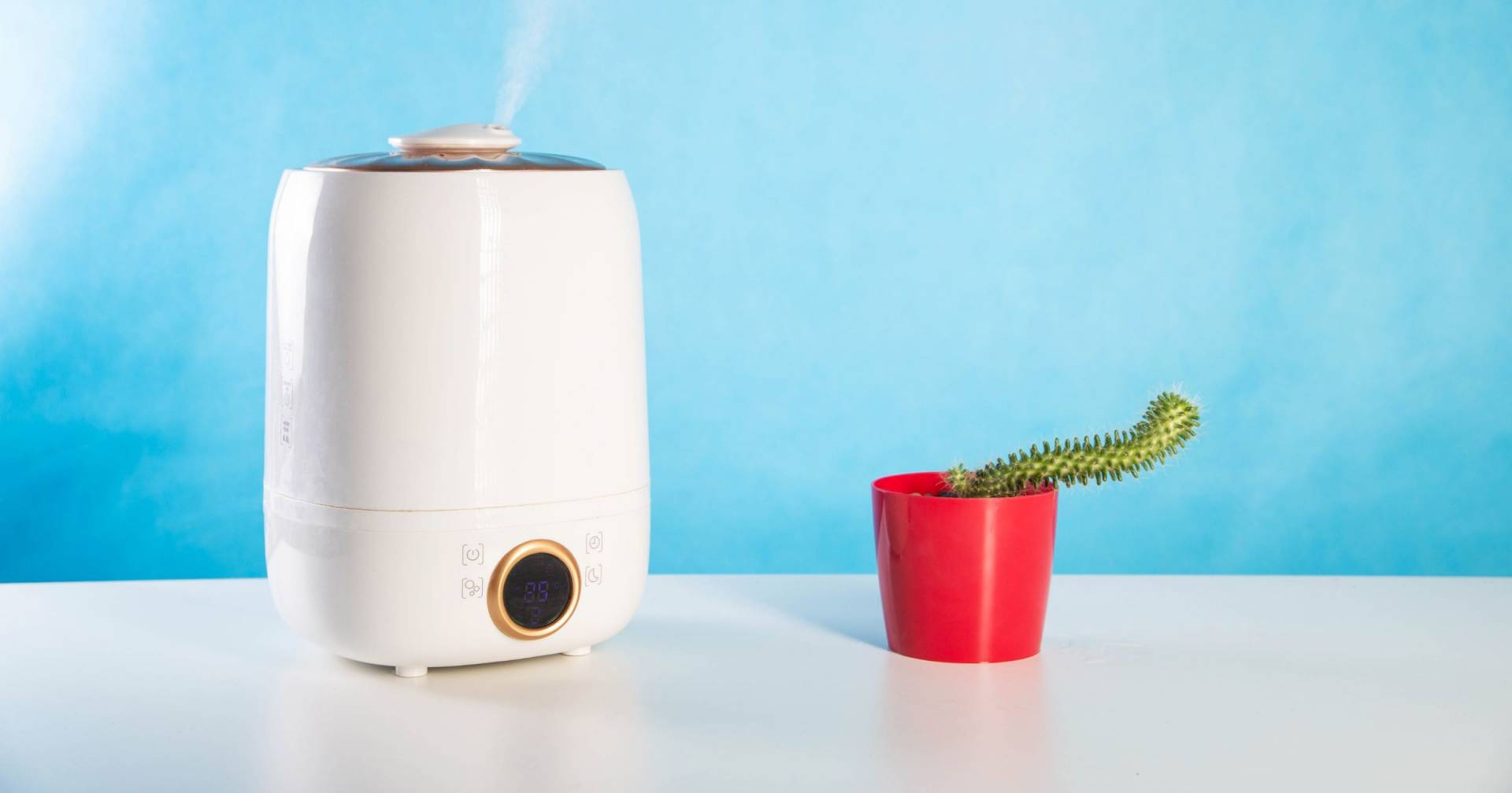 The Best Smart Humidifier Of 2025: Great Picks & Buying Guide
