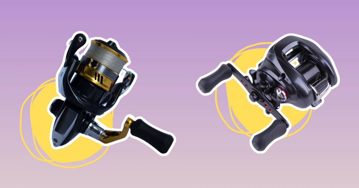 The 10 Best Spinning Reels For 2026