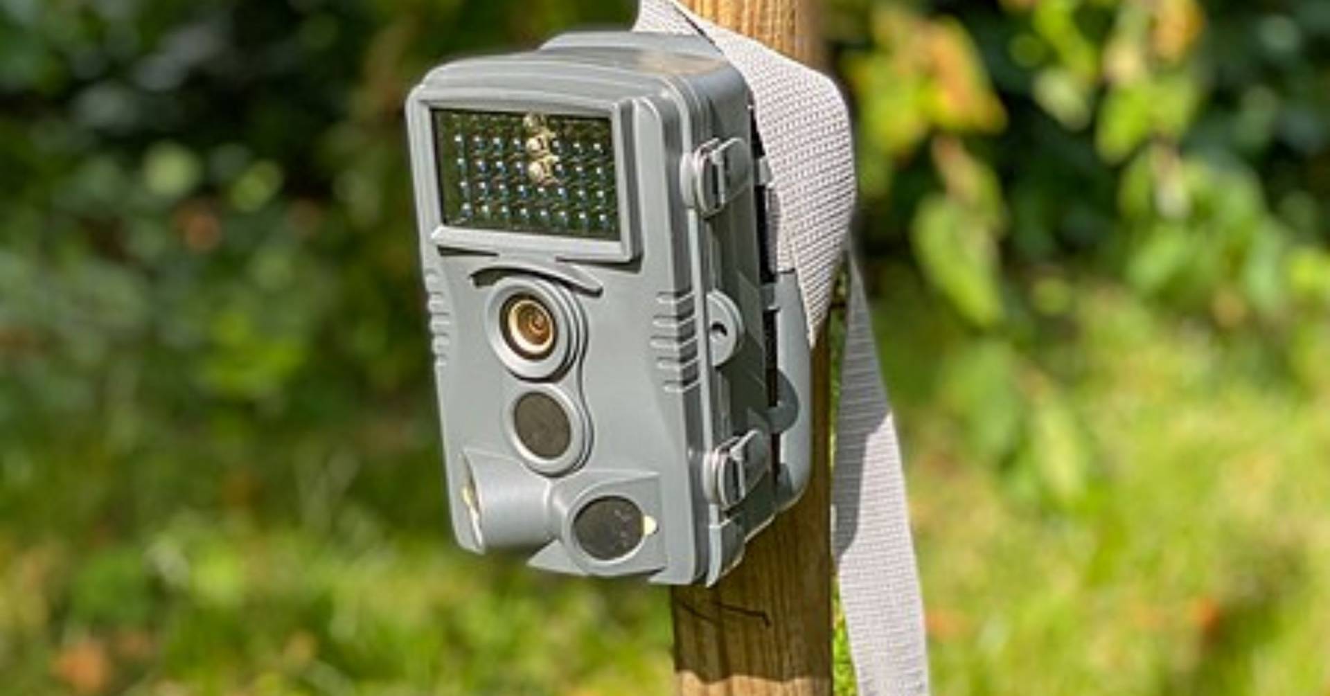 Best Time Lapse Trail Camera To Pick Up: Trend Of Searching For 2025
