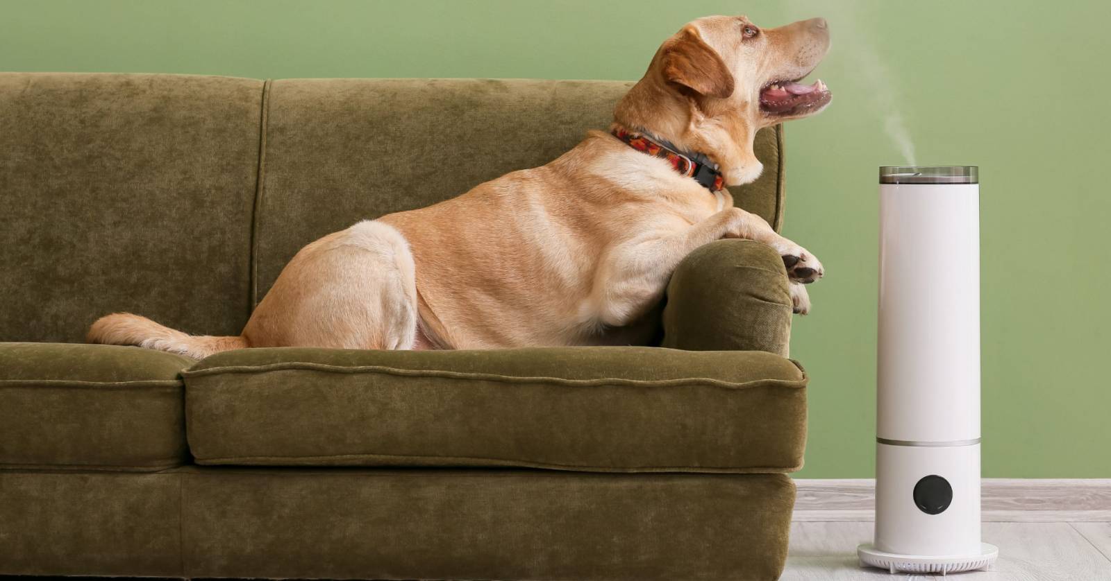 Top Best Tower Humidifier Of 2025: Reviews & Buying Guide