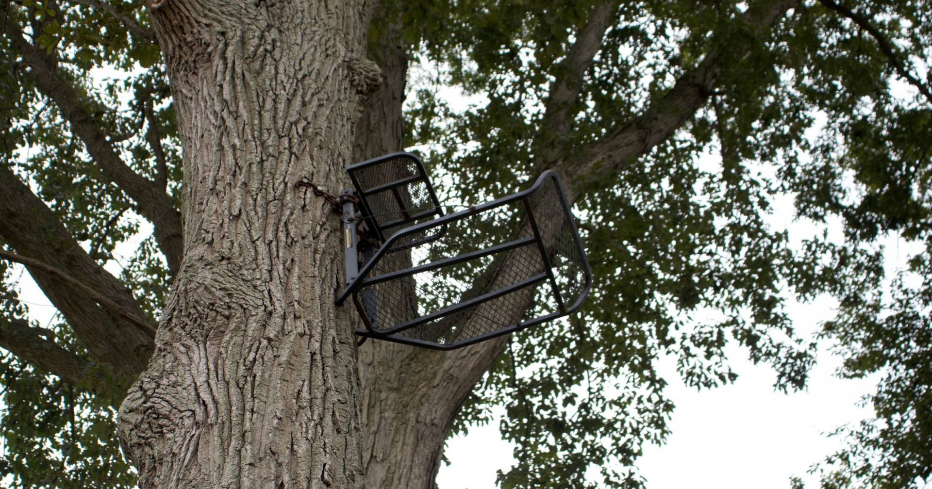 The Most Comfortable Climbing Stand In 2026