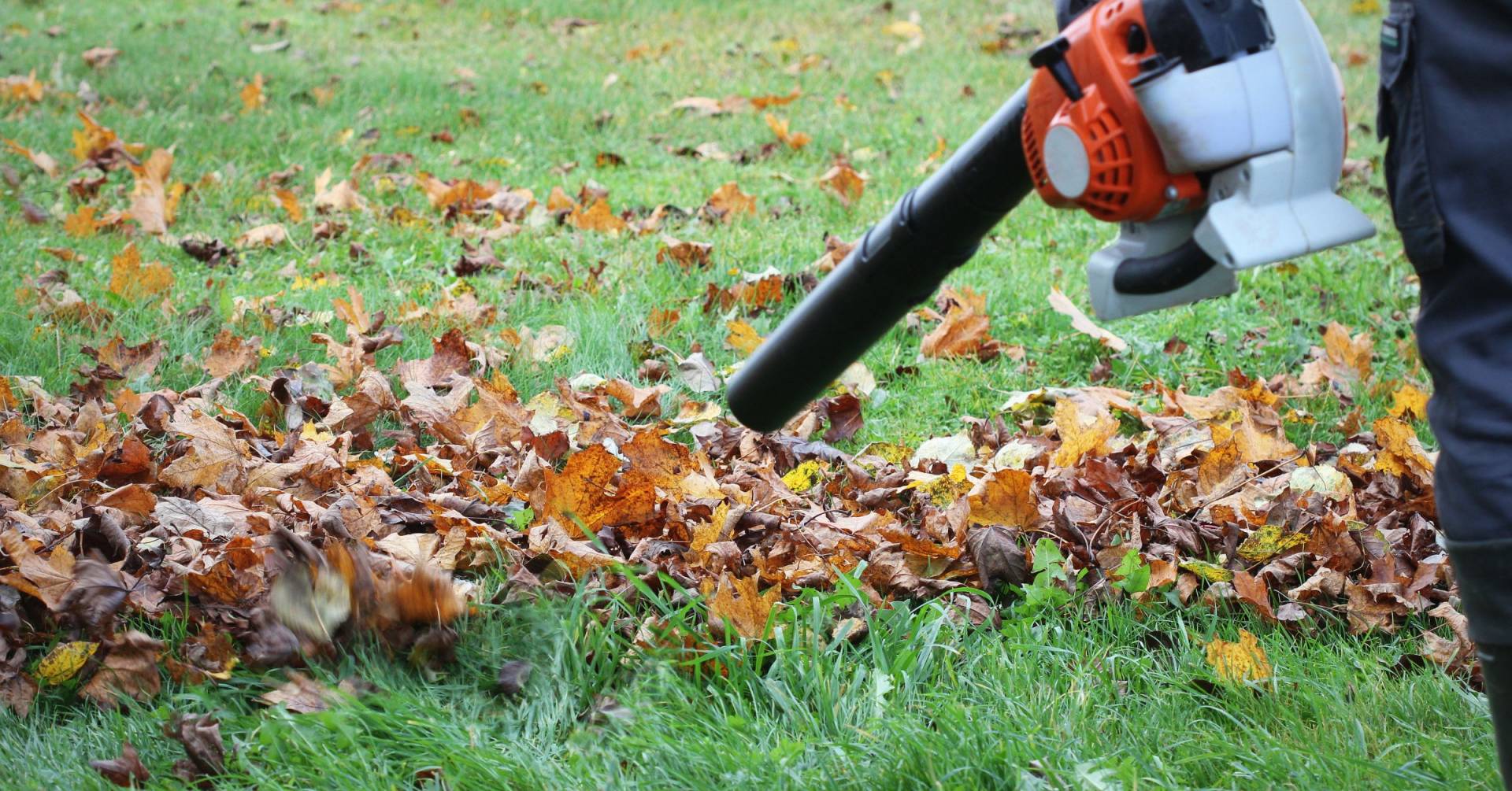 The Best Small Leaf Blower For 2025