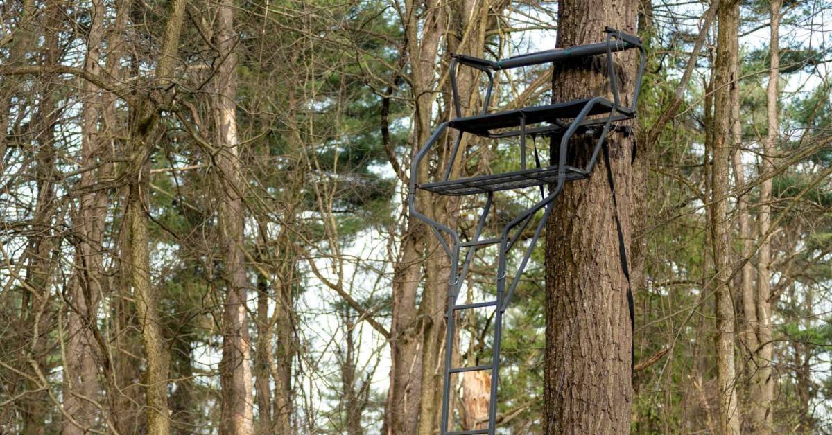 The Best Two Man Ladder Stands For 2025