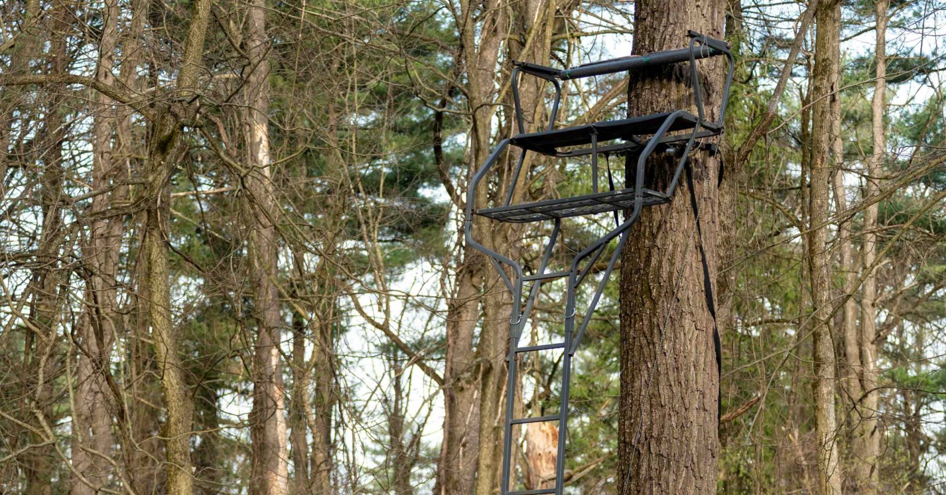 The Best Two Man Ladder Stands For 2025