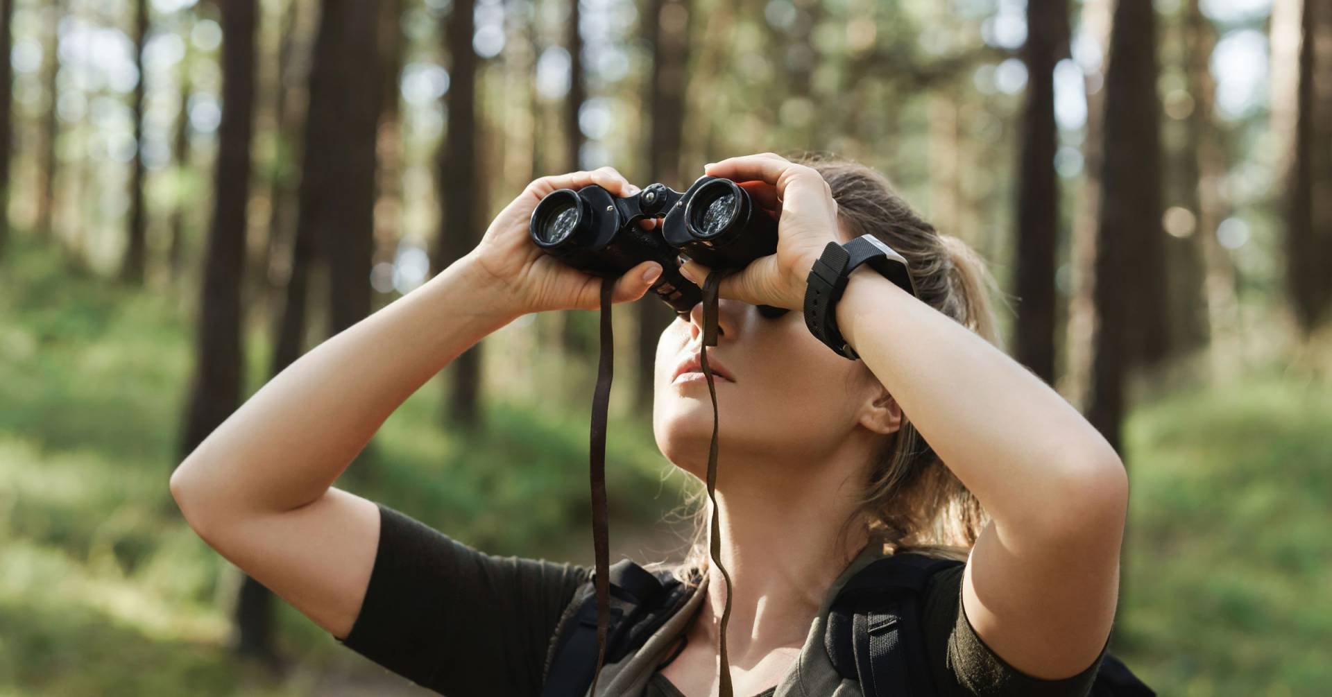 The Best Rated Binoculars For Bird Watching In 2026