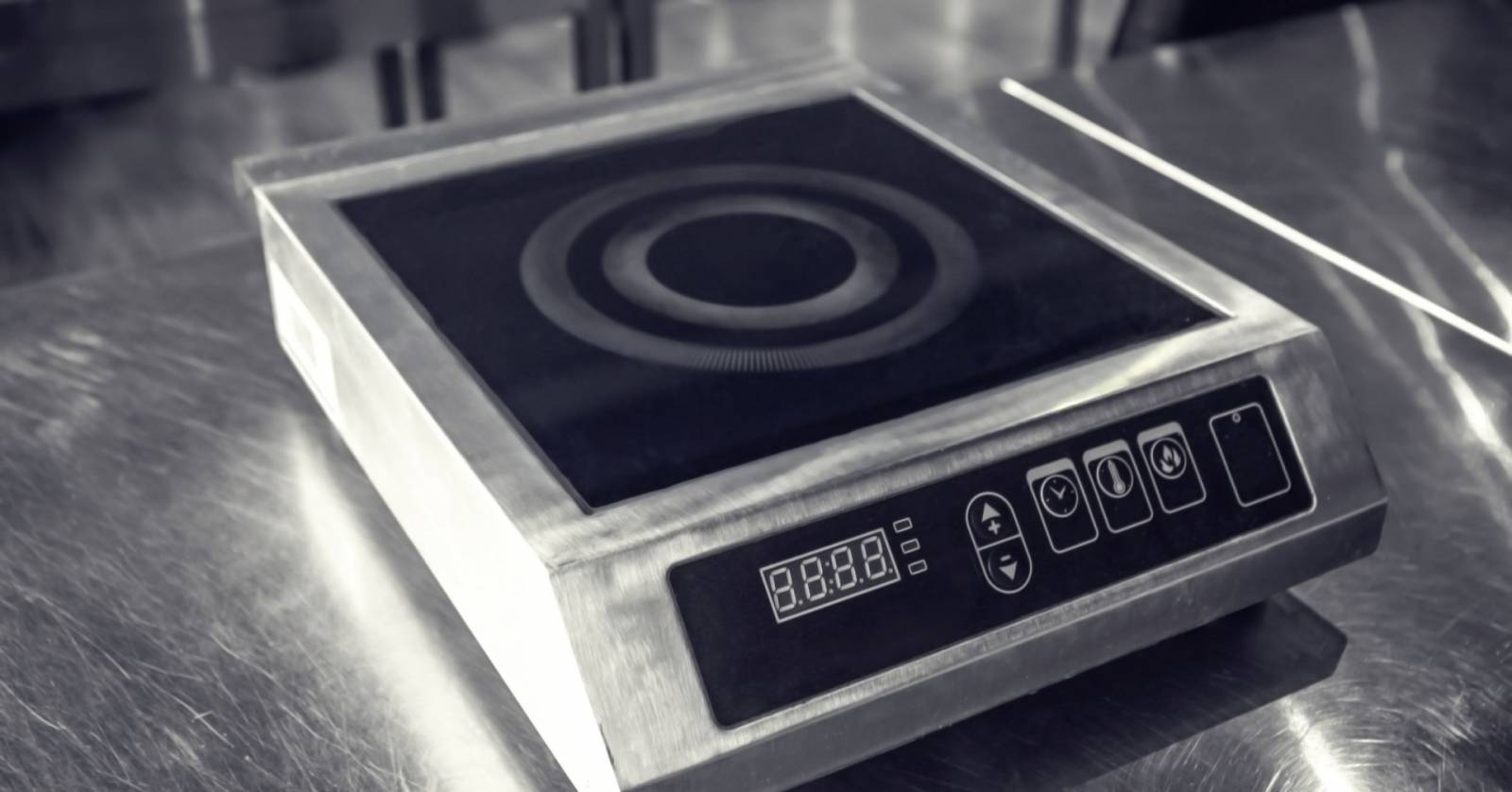The Best Portable Induction Burner For 2025