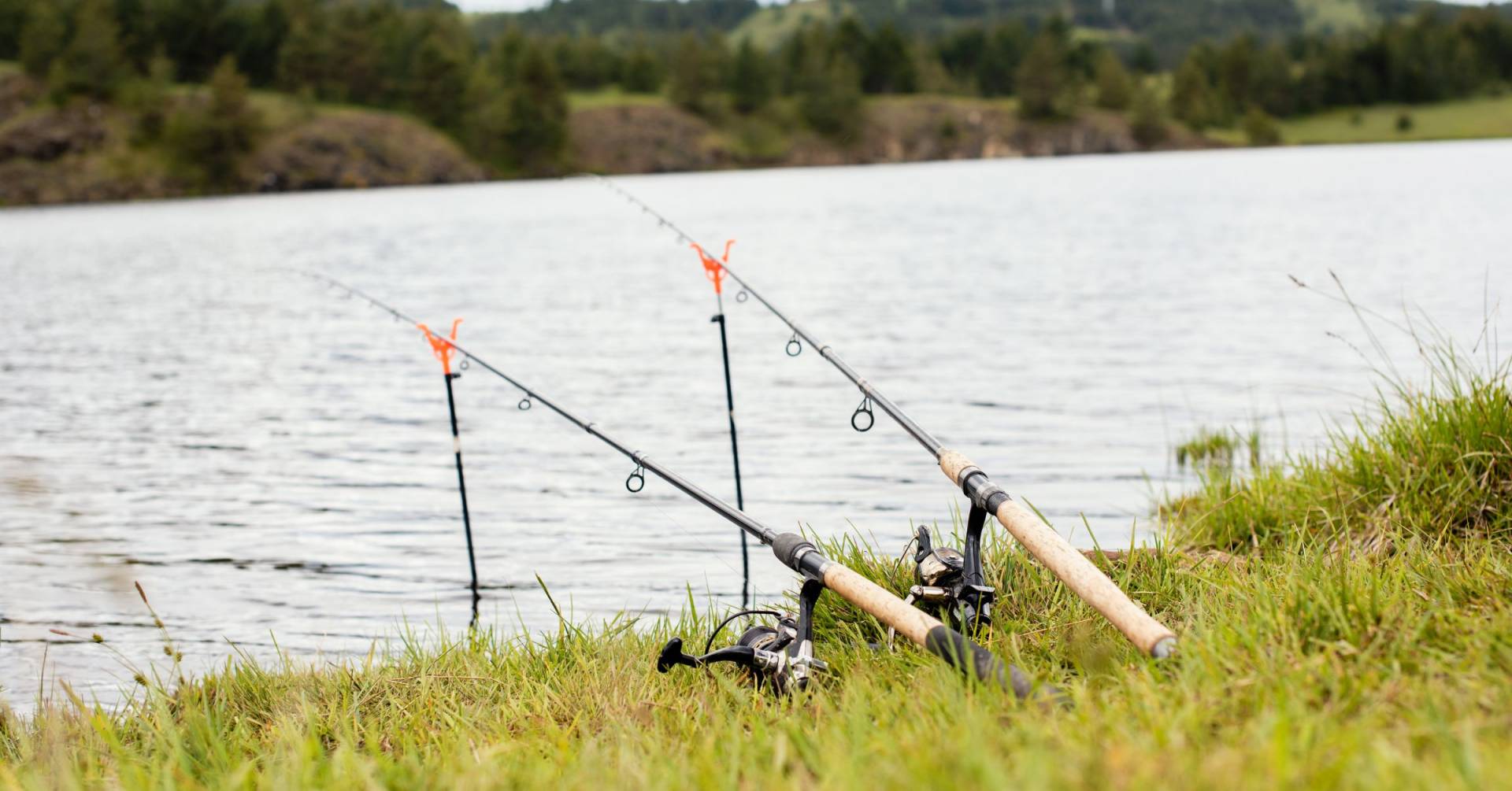 The 7 Best River Fishing Rods Of 2025, Tested By CampFireHQ