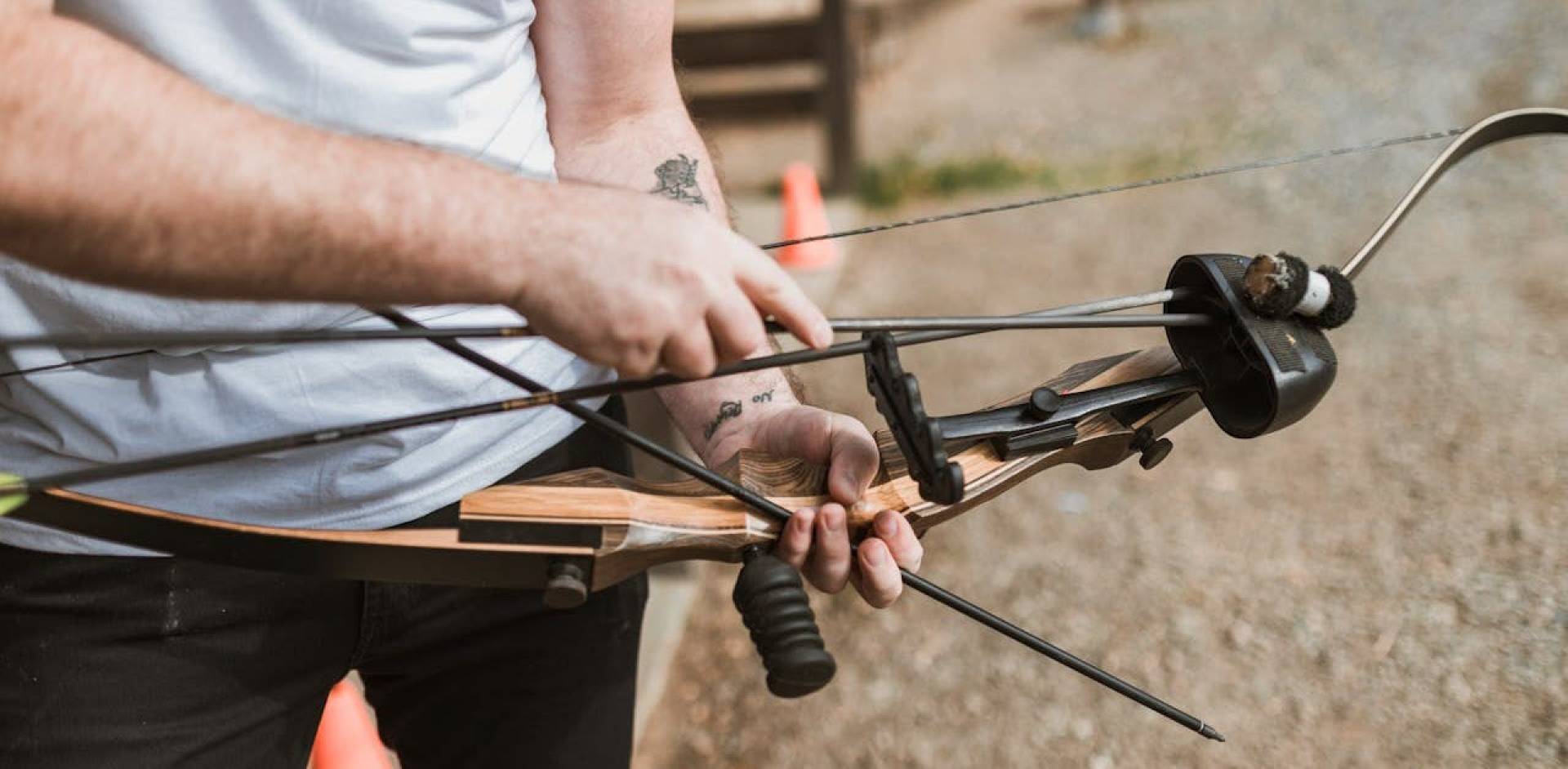 The Best Bows For Hunting: Highly Recommended Of 2026